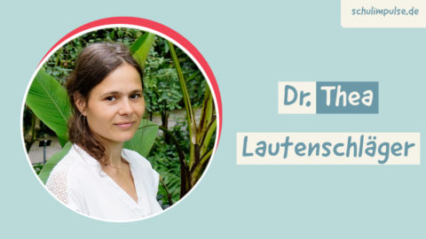 Über uns – Schulimpulse